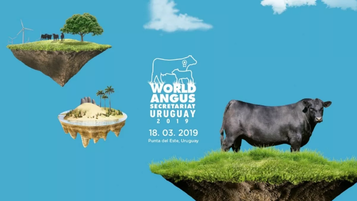 Angus Paraguay se prepara para participar de la Feria Mundial de la Raza
