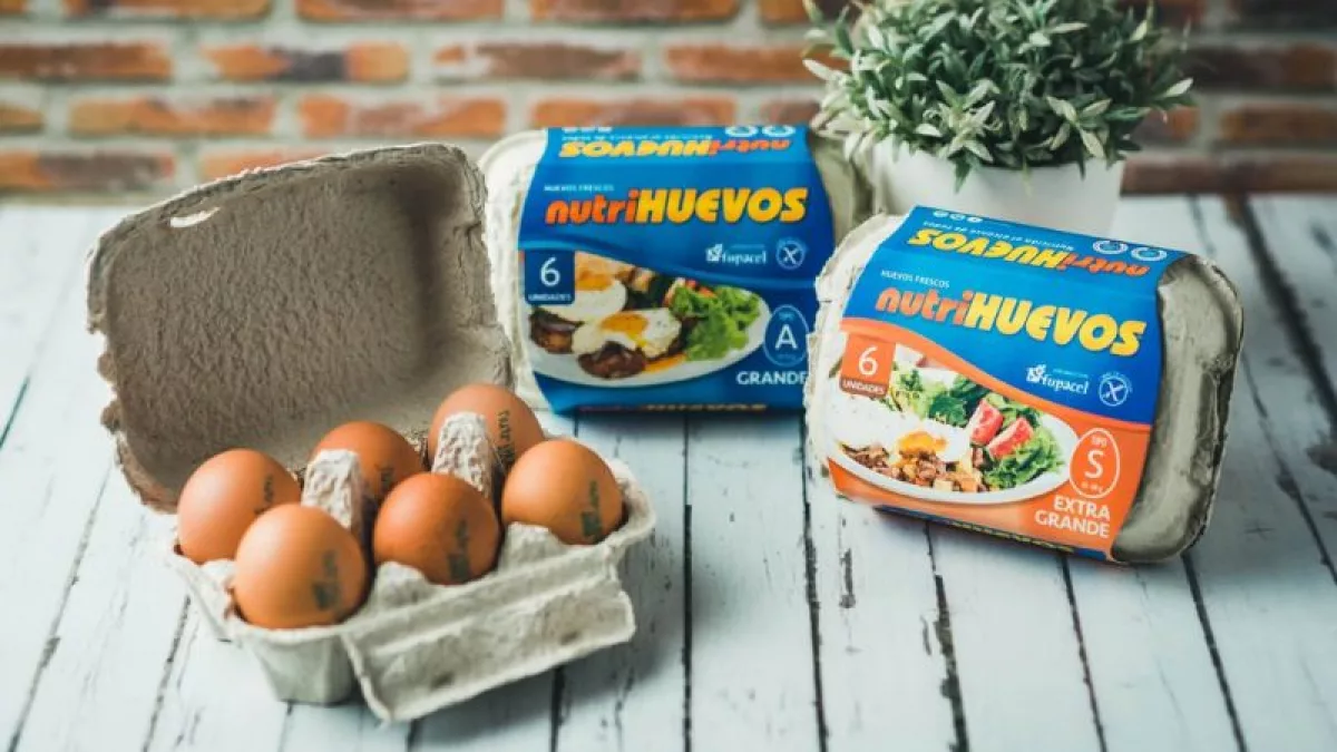 Nutrihuevos empolla con éxito: prevé comercializar 300 millones de ...