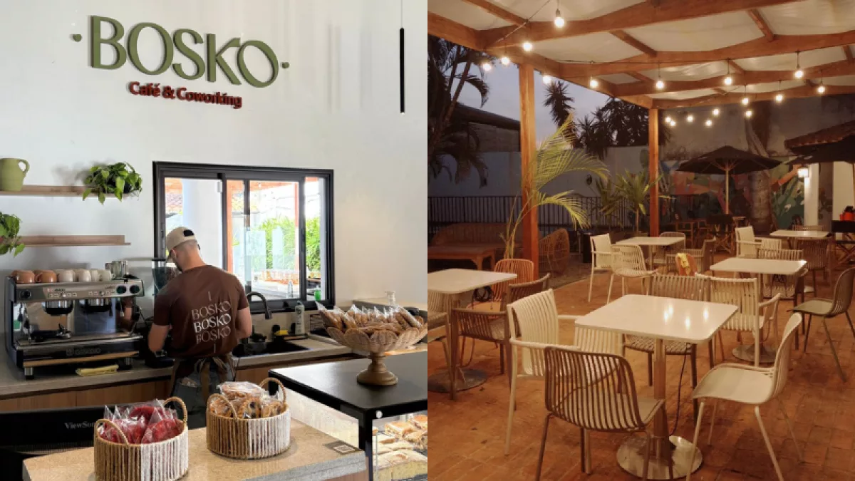 Bosko, el nuevo refugio café + coworking que combina naturaleza y buena ...